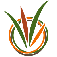 Sweetgrass Assessments – Empowering Every Mind: Tailored Learning ...